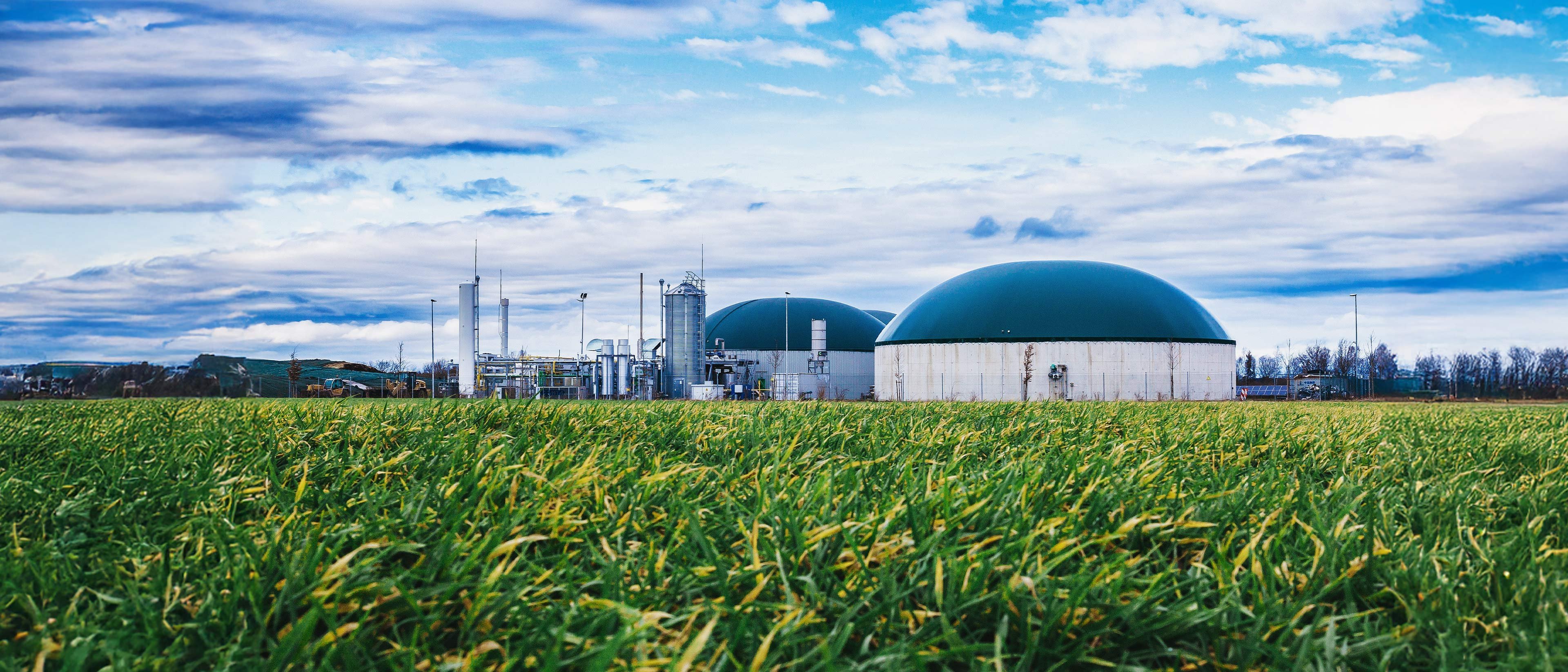 Heat exchangers for green energy solutions and biofuel - LHE